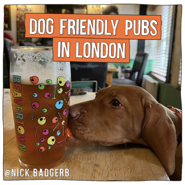 14 Dog-Friendly Pubs in London | Beavertown Brewery