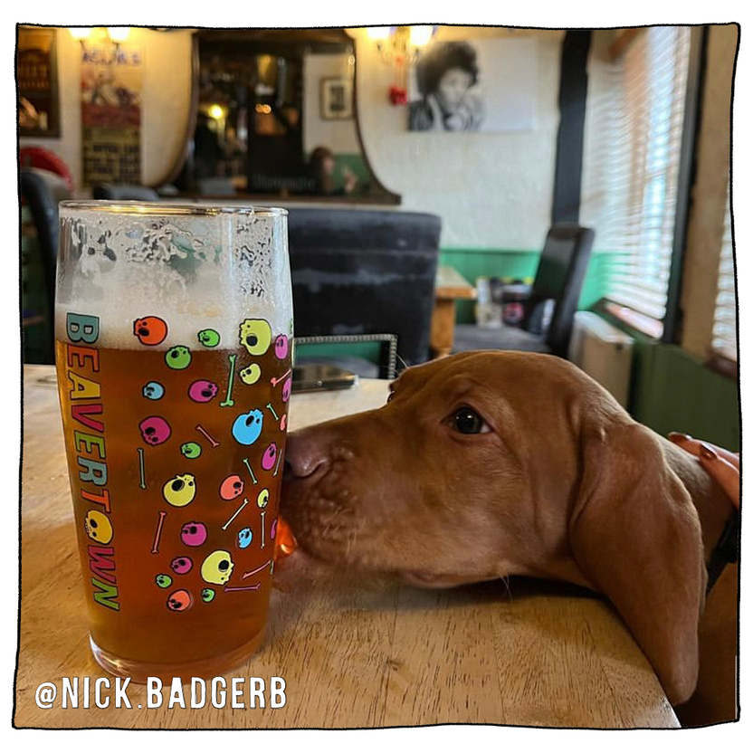 Beavertown Pub Dogs | Beavertown Brewery